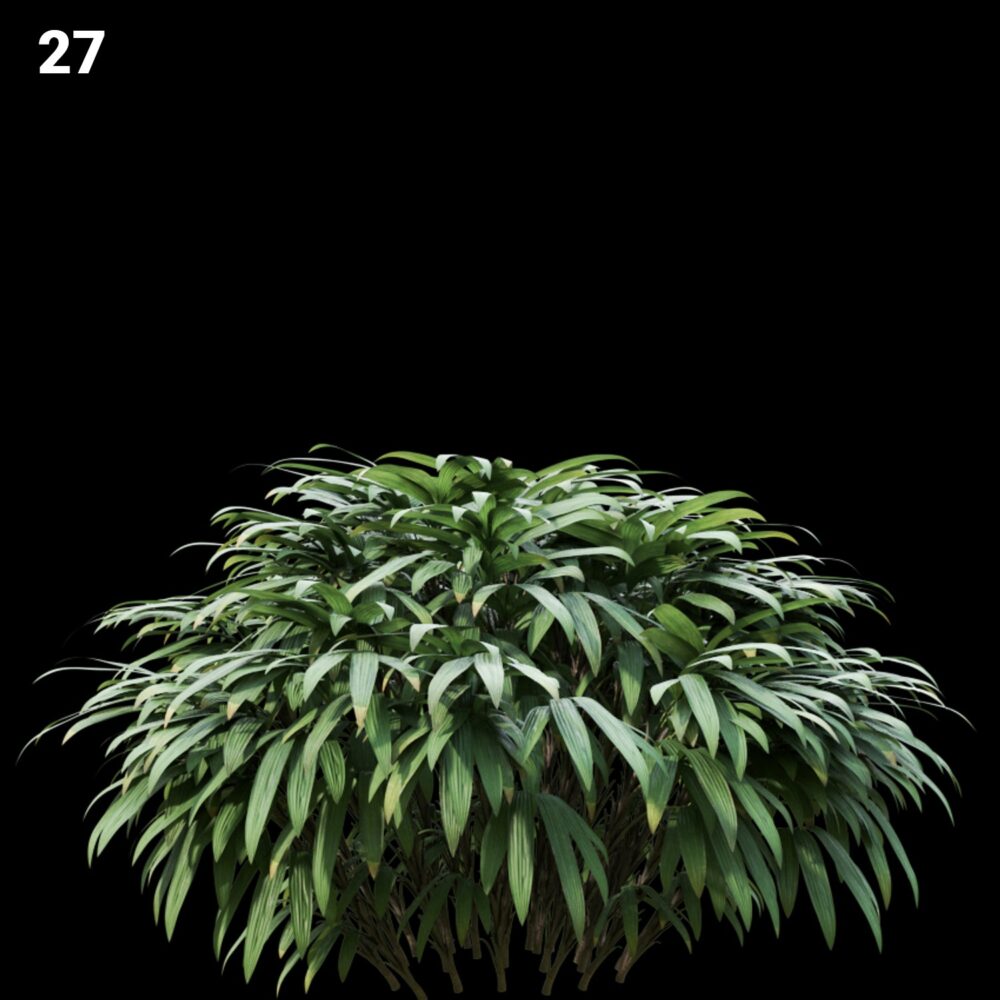 Lush Green Plant Proxy Model for SketchUp - Proxy DND